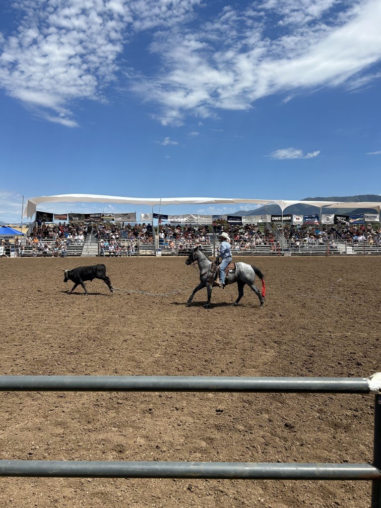 A First Rodeo to Remember - The Santa Barbara Independent
