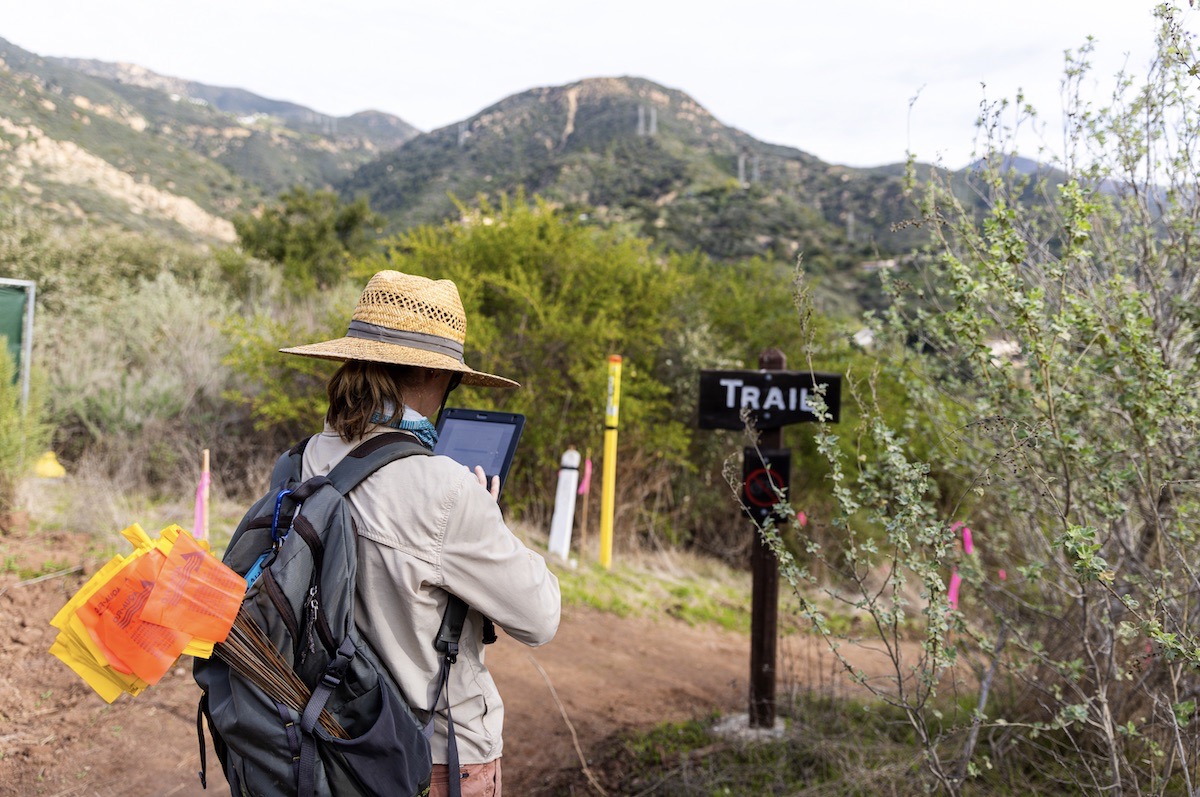 Santa Barbara’s Parma Park Project Completed - The Santa Barbara ...