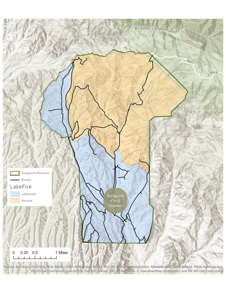 Update: New Evacuations Ordered Friday After Lake Fire Burns Half of ...