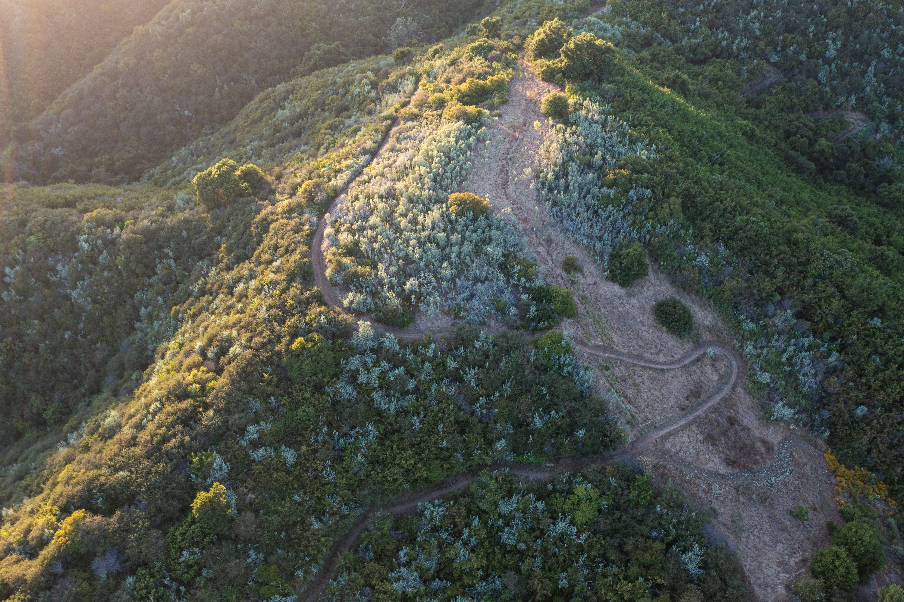 Santa Barbara’s Parma Park Project Completed - The Santa Barbara ...