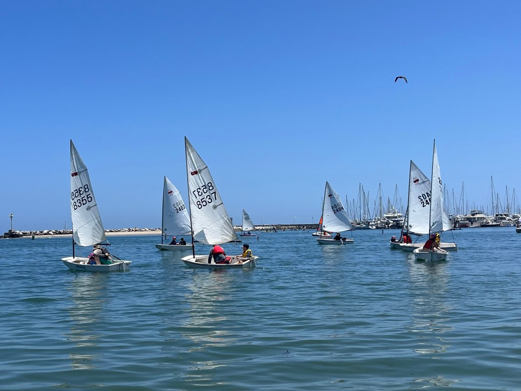 Santa Barbara Sea Shell Sailing Association Holds 40th Annual Sips and ...