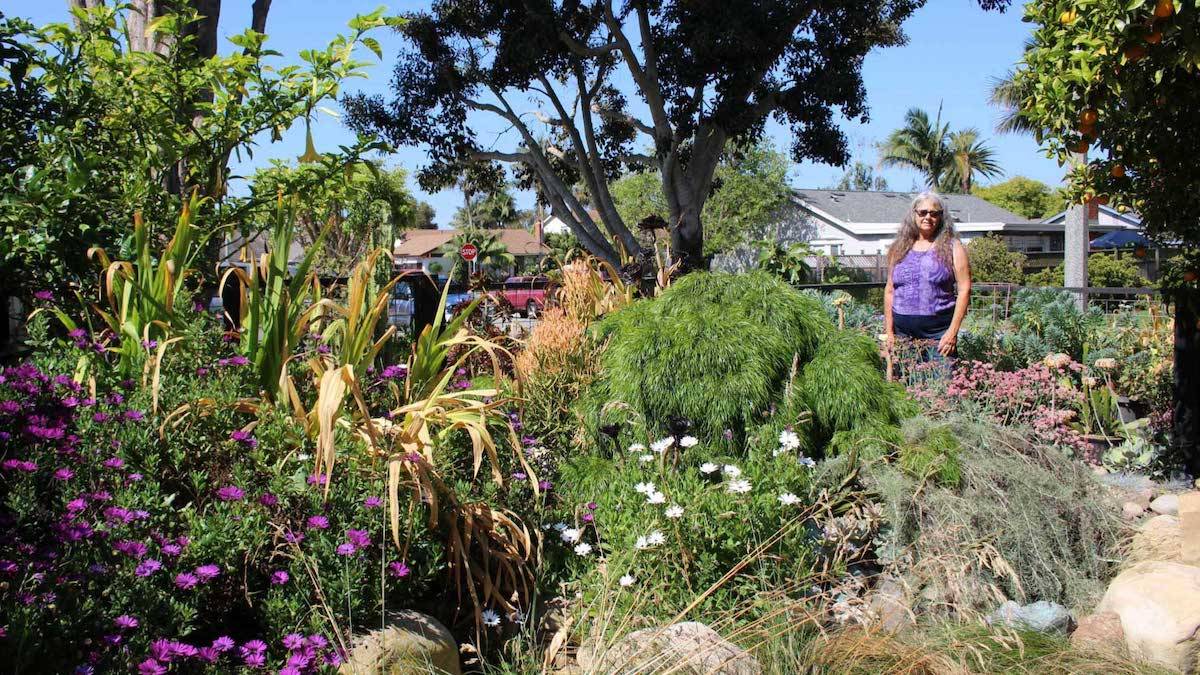 Celebrating ‘Water-Wise’ Gardens in Santa Barbara County - The Santa ...