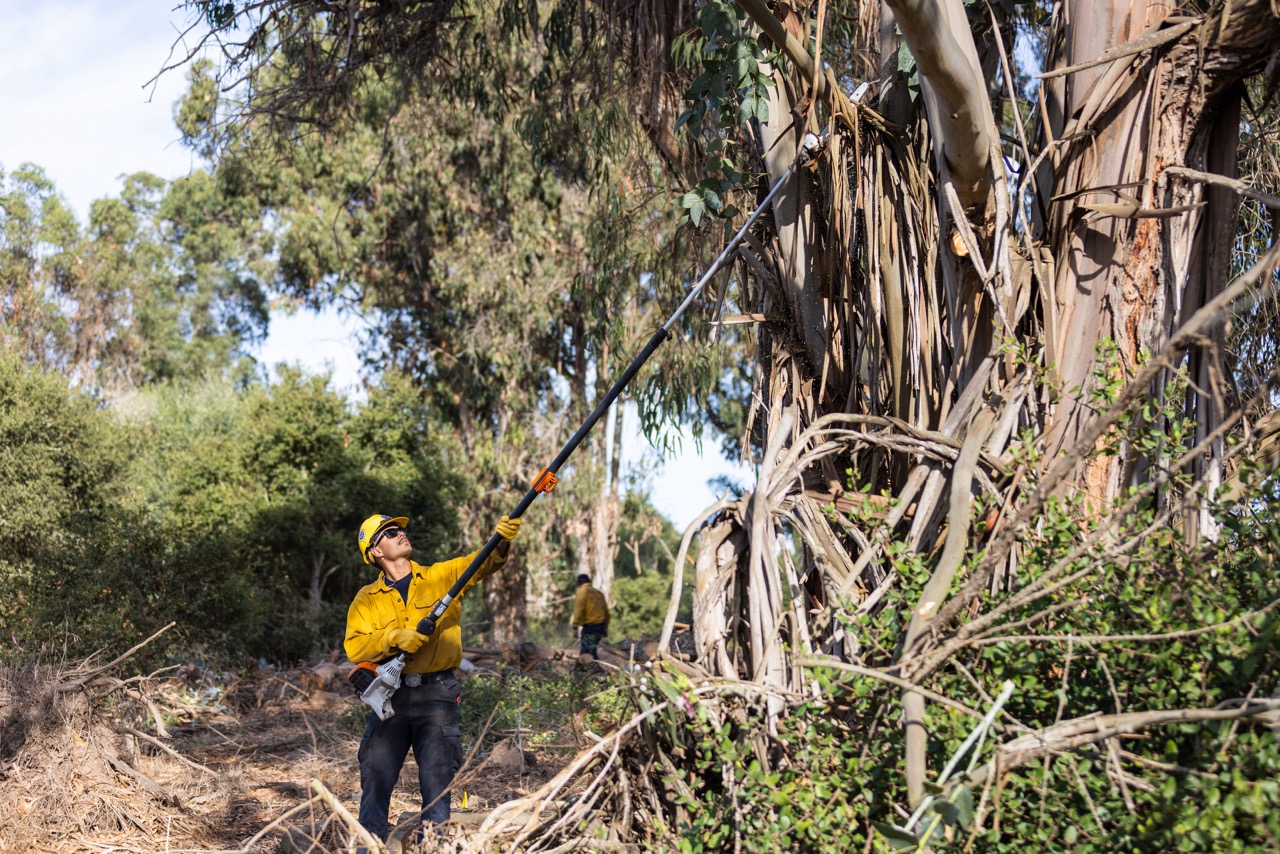 Work at Santa Barbara Douglas Family Preserve Begins - The Santa ...