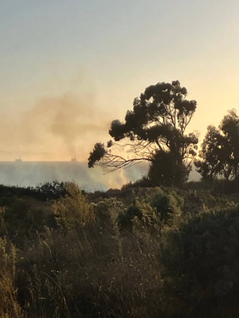 Firefighters Stop Vegetation Fire on Carpinteria Bluffs Nature Preserve ...