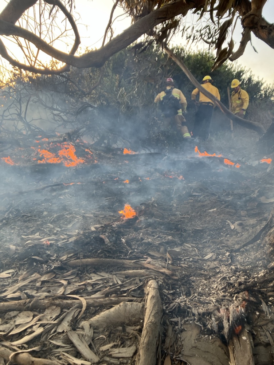 Firefighters Stop Vegetation Fire on Carpinteria Bluffs Nature Preserve ...