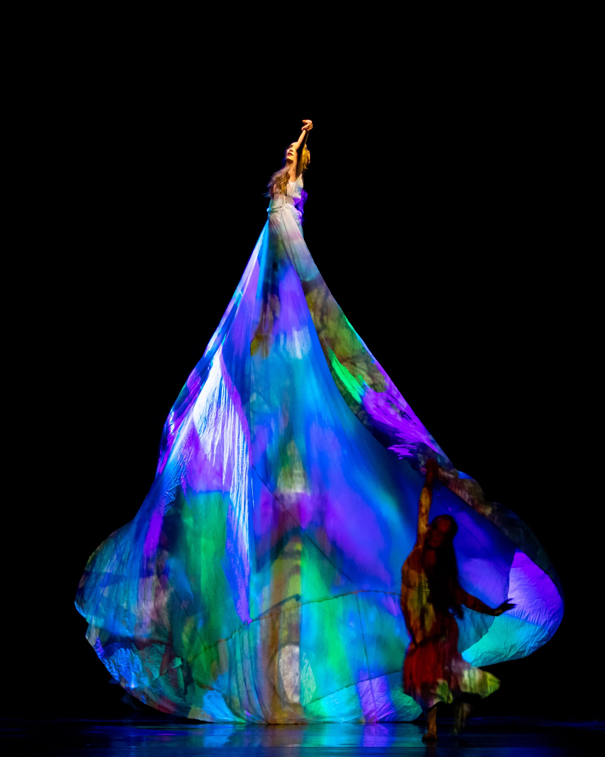 Review | ‘ALICE’ Is an Adventure Worth Taking - The Santa Barbara ...