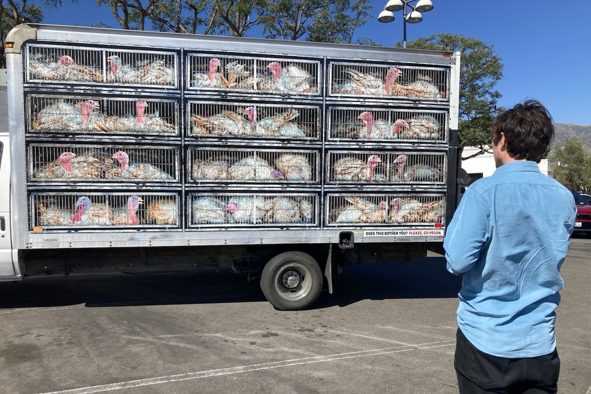 PETA’s ‘Hell on Wheels’ Rolls into Santa Barbara - The Santa Barbara ...