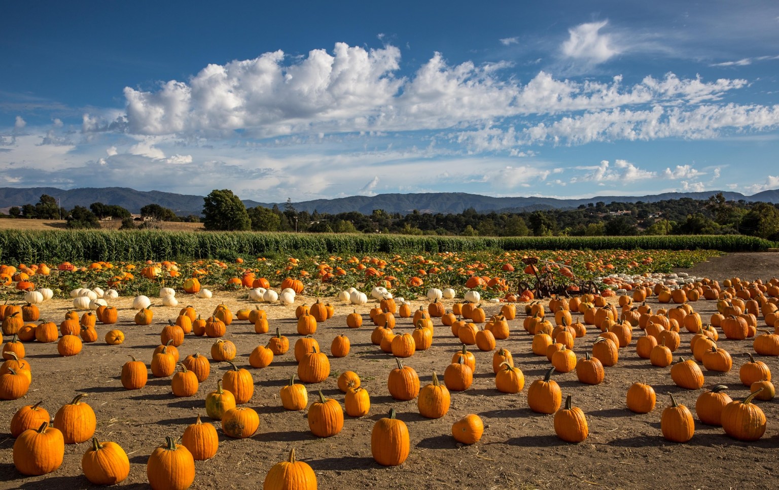 Santa Barbara's Complete Guide to Fall Fun and Halloween Haunts - The ...