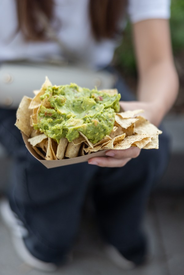 Carpinteria Sees Green at Annual Avocado Celebration - The Santa ...