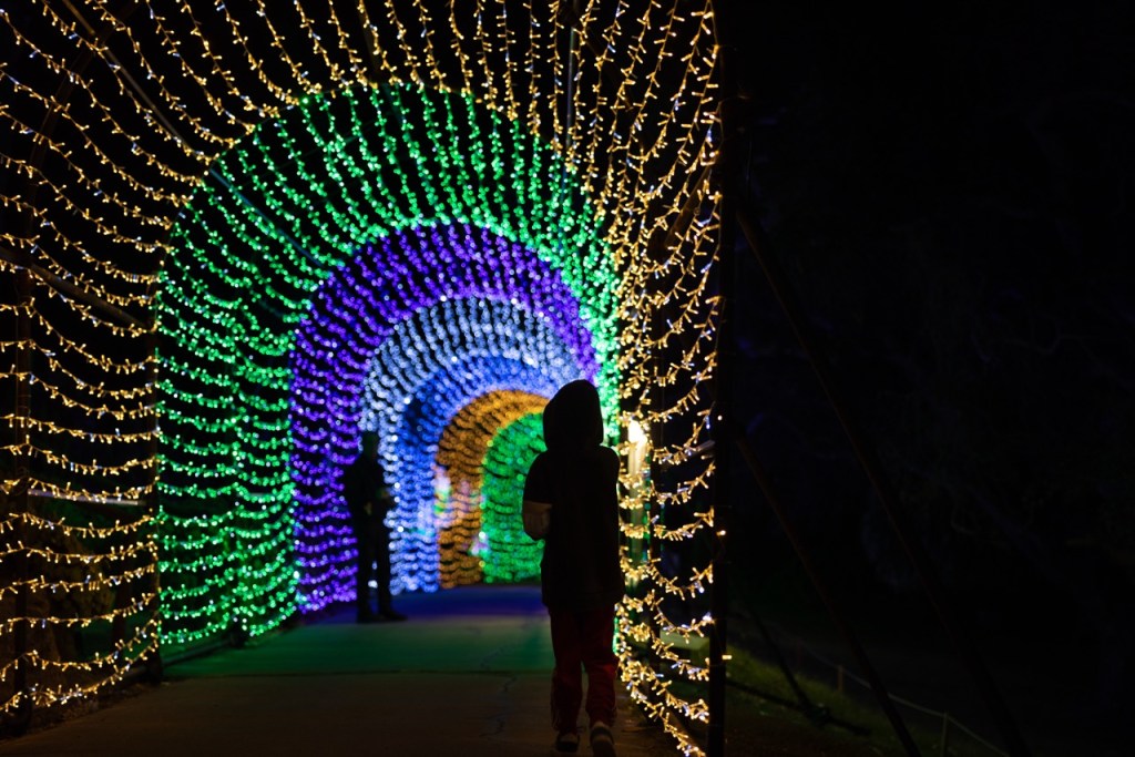 A Glowing Wonderland of Flora and Fauna at the Santa Barbara Zoo - The ...