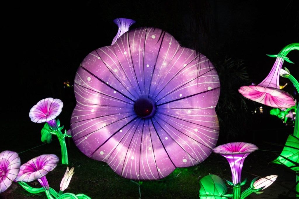 A Glowing Wonderland of Flora and Fauna at the Santa Barbara Zoo - The ...