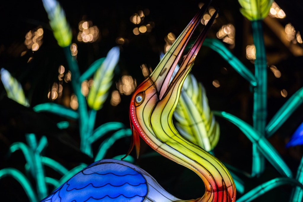 A Glowing Wonderland of Flora and Fauna at the Santa Barbara Zoo - The ...
