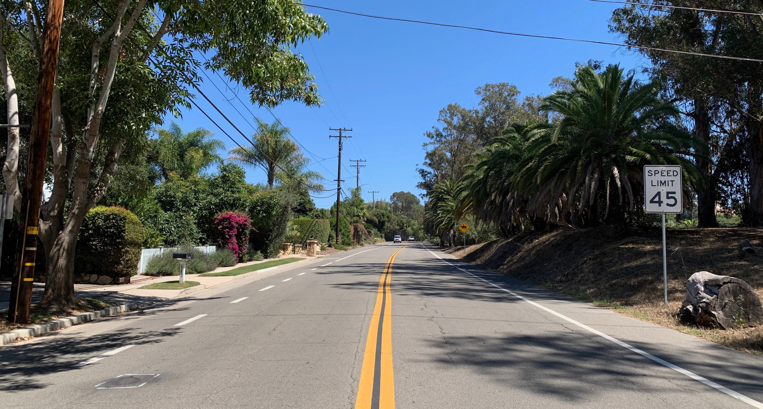 Peace Breaks Out Between Bike Lane and Palm Trees on Modoc Road - The ...