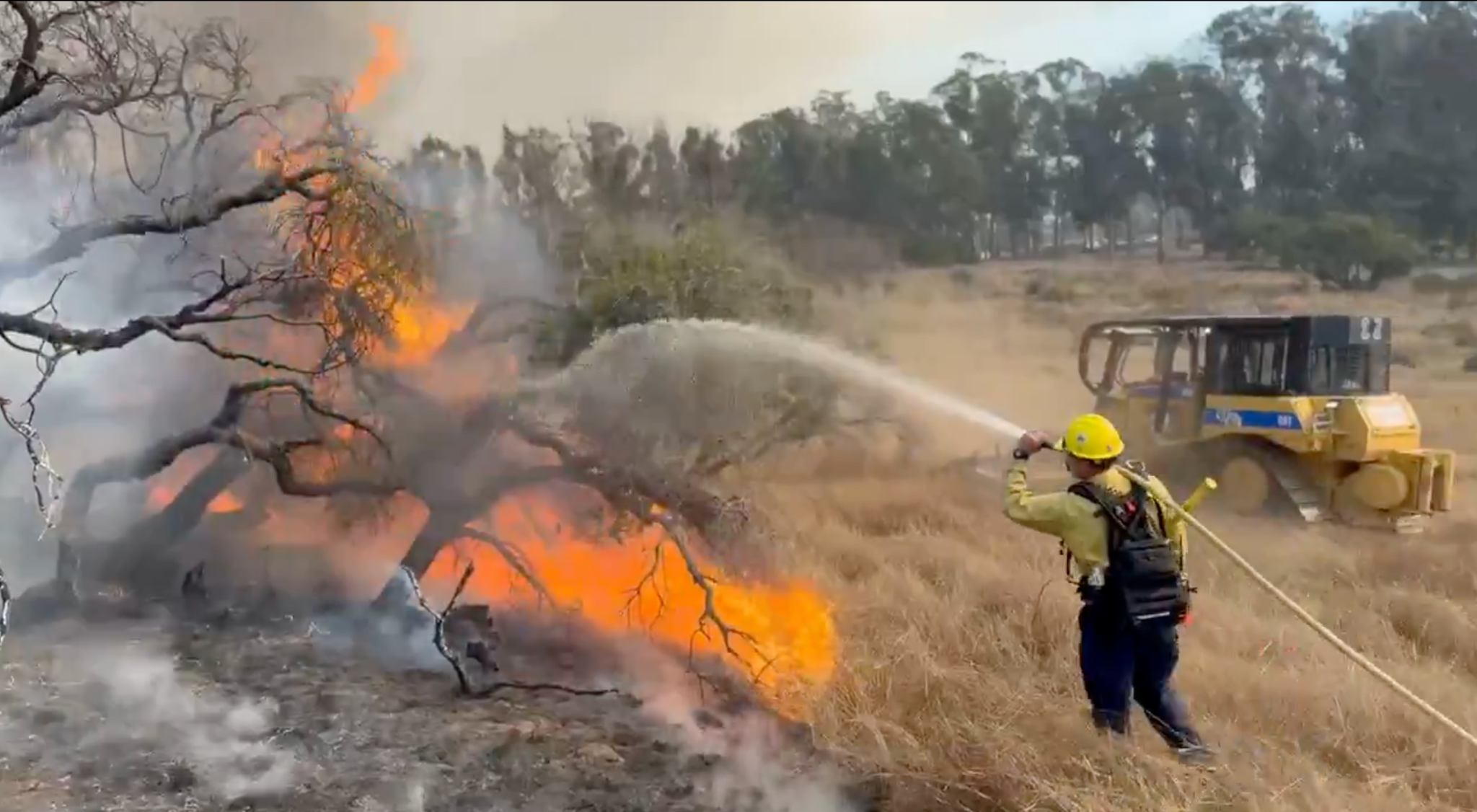 Update: Forward Progress of Santa Lucia Fire near Lompoc Stopped, All ...