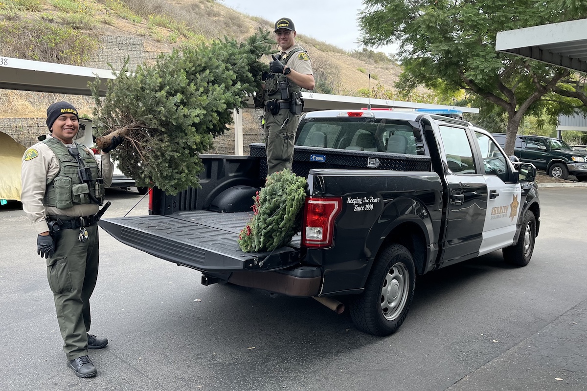 Santa Barbara Deputies Arrest Alleged Grinch Who Stole Christmas Trees ...