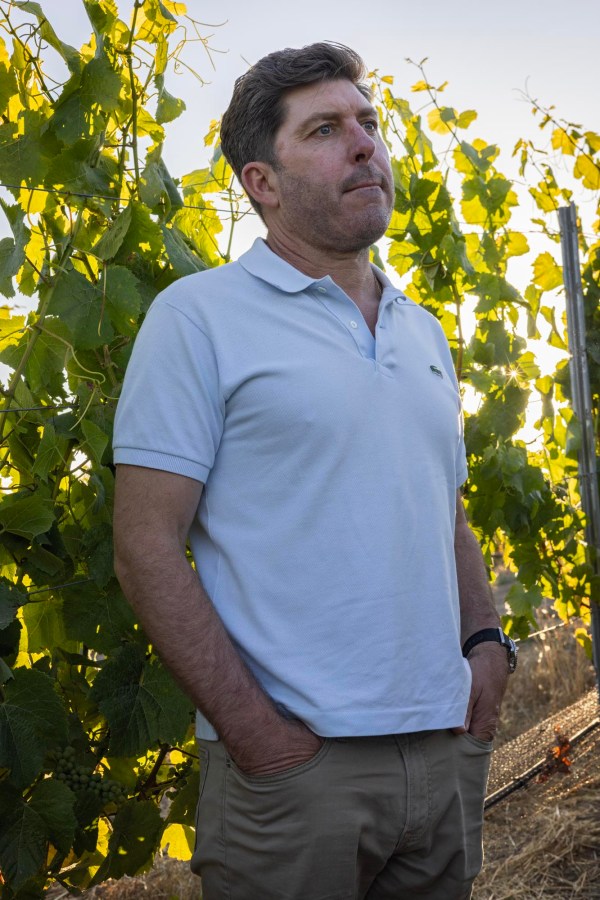 Dave Phinney Settles Into Santa Barbara’s Our Lady of Guadalupe ...