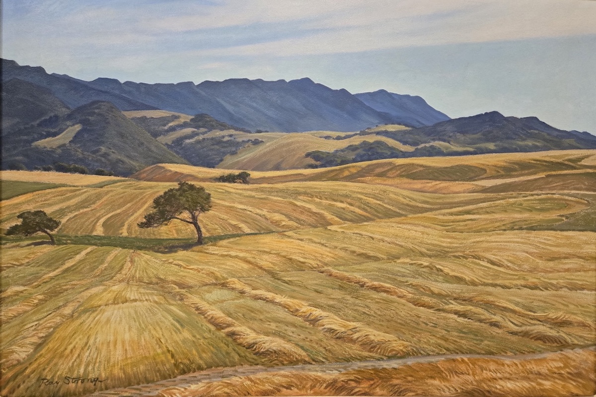 Painting Inside the Outside Box - The Santa Barbara Independent