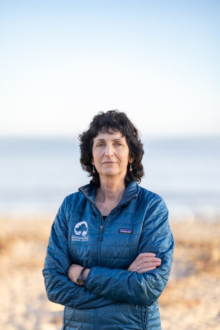 Linda Krop: The Lawyer Leading the Fight Against Sable Oil - The Santa ...