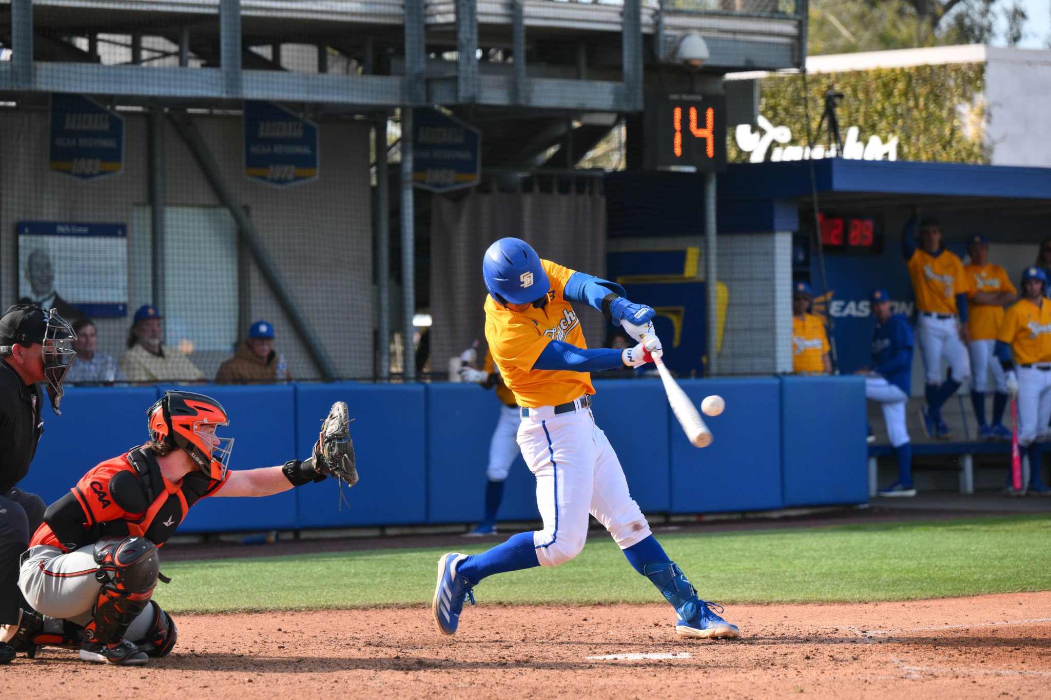 UC Santa Barbara Baseball Completes Sweep of Campbell with 14-4 Victory ...