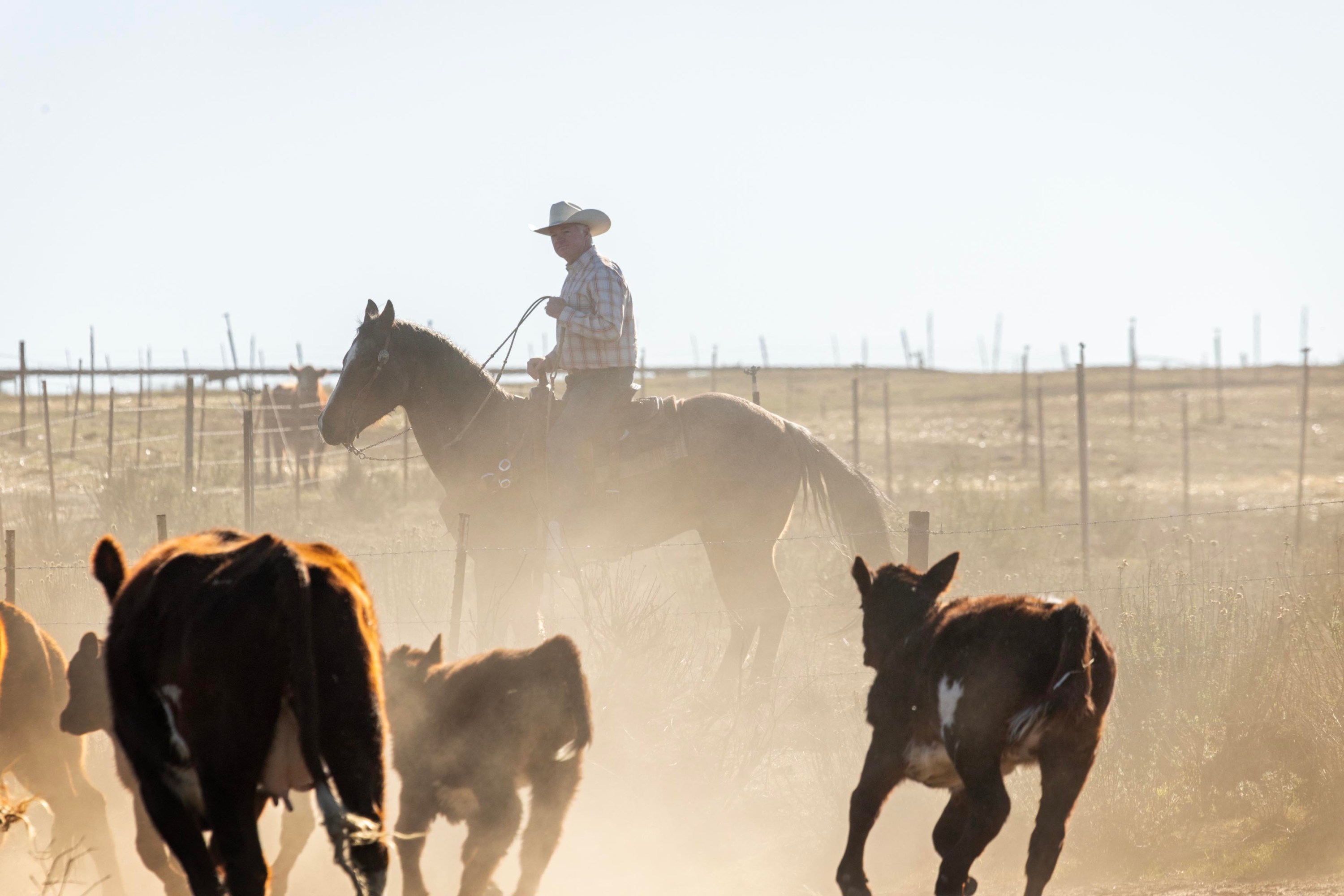 Vaquero. Vintner. Landman. Leader. - The Santa Barbara Independent