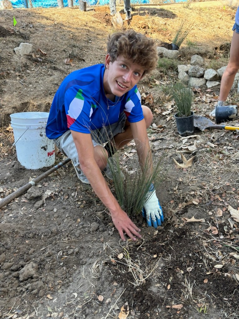 A Royal Rewilding - The Santa Barbara Independent