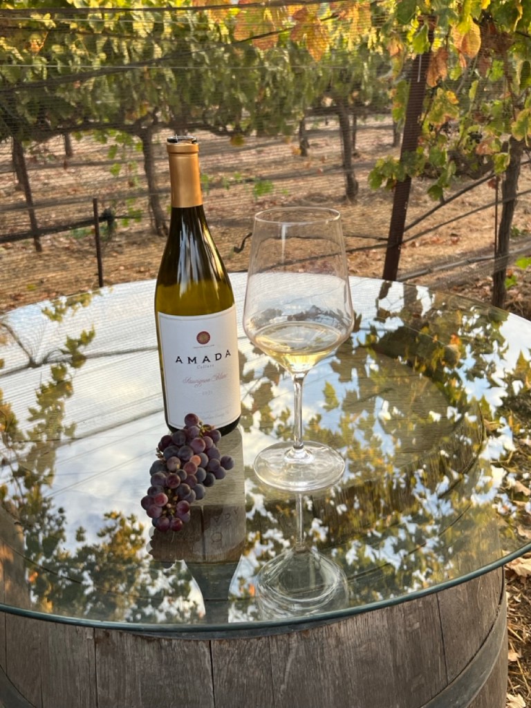 Amada Cellars Builds a Home - The Santa Barbara Independent