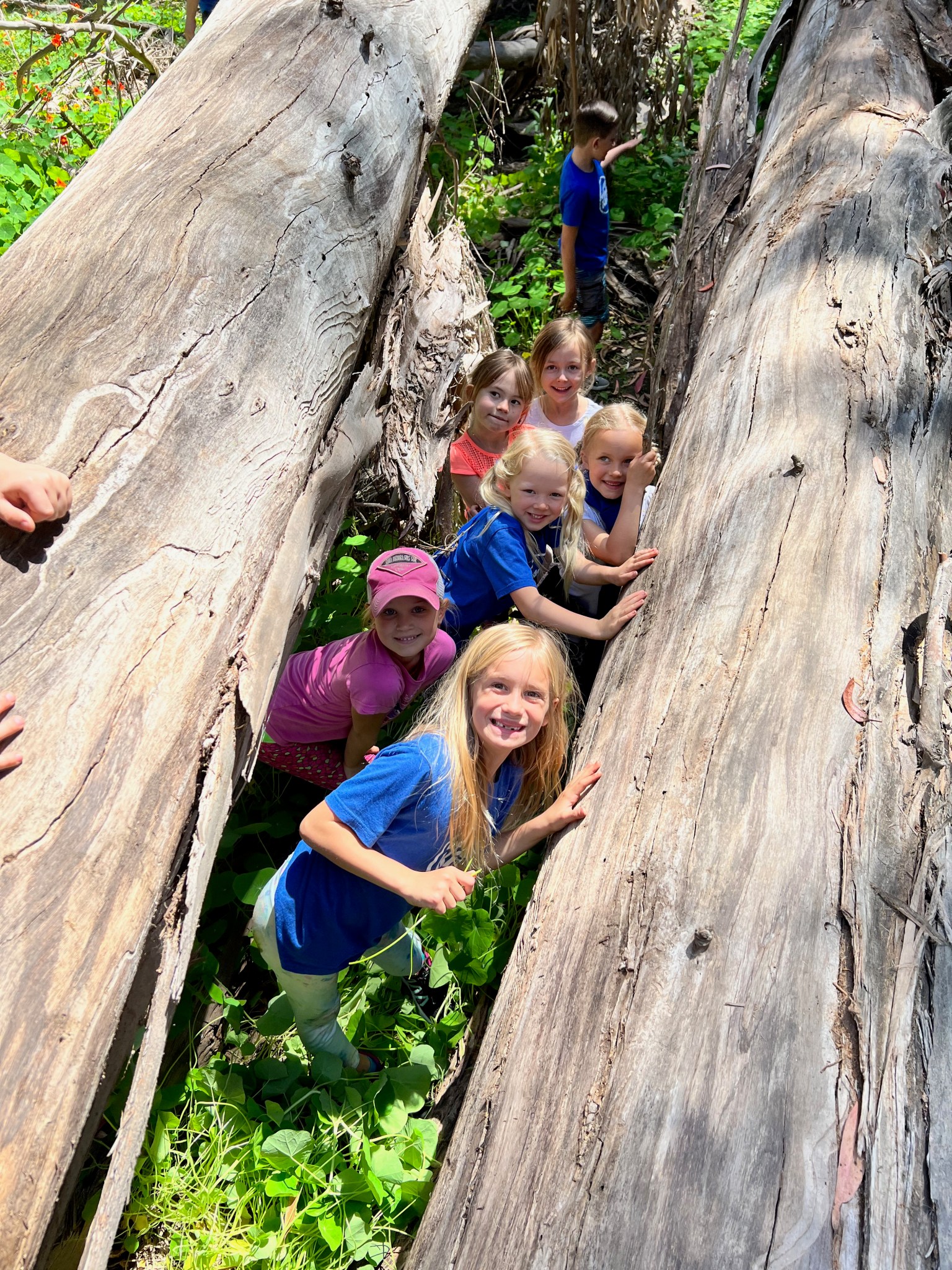Annual Summer Camp Guide 2025 - The Santa Barbara Independent