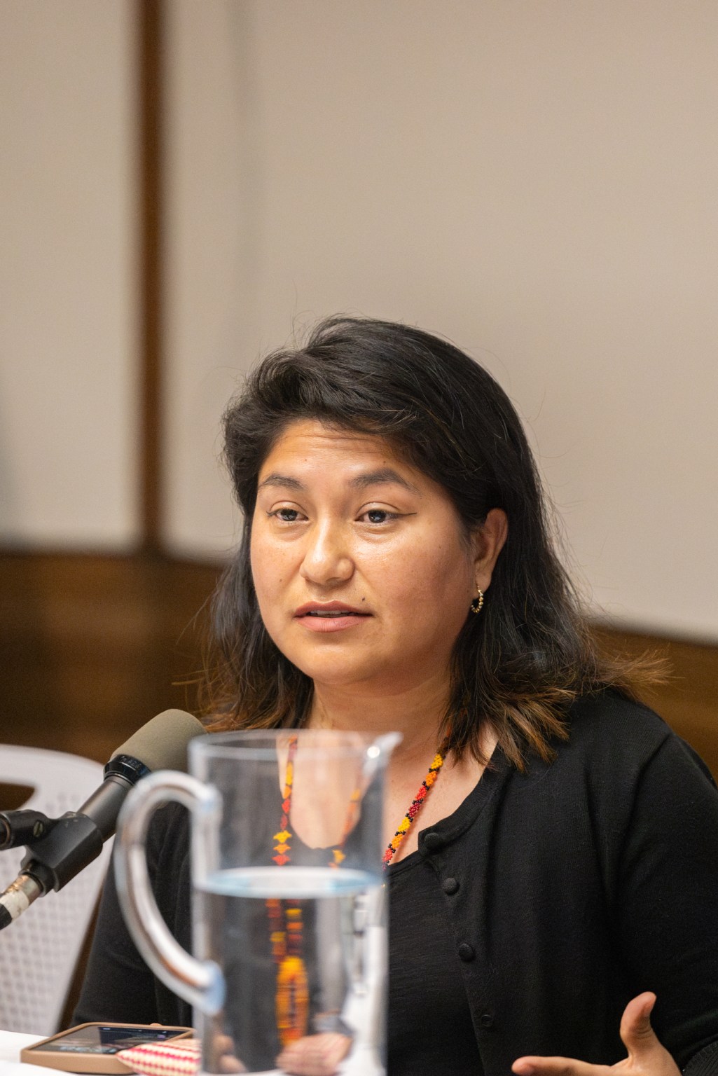 805 UndocuFund Leading the Fight for Immigrant Rights on Central Coast - The Santa Barbara ...