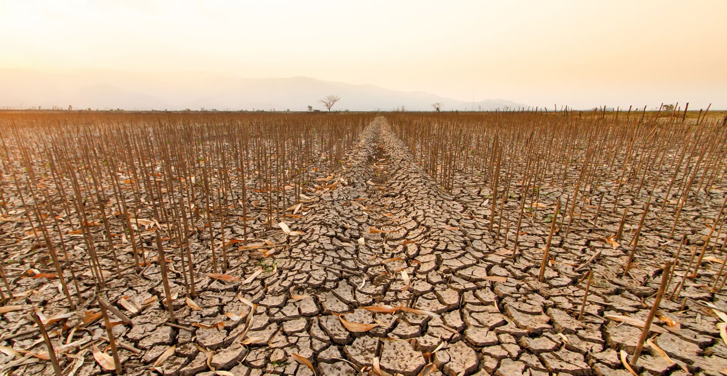 The Atmosphere’s Growing Thirst Is Making Droughts Worse, Even Where It ...