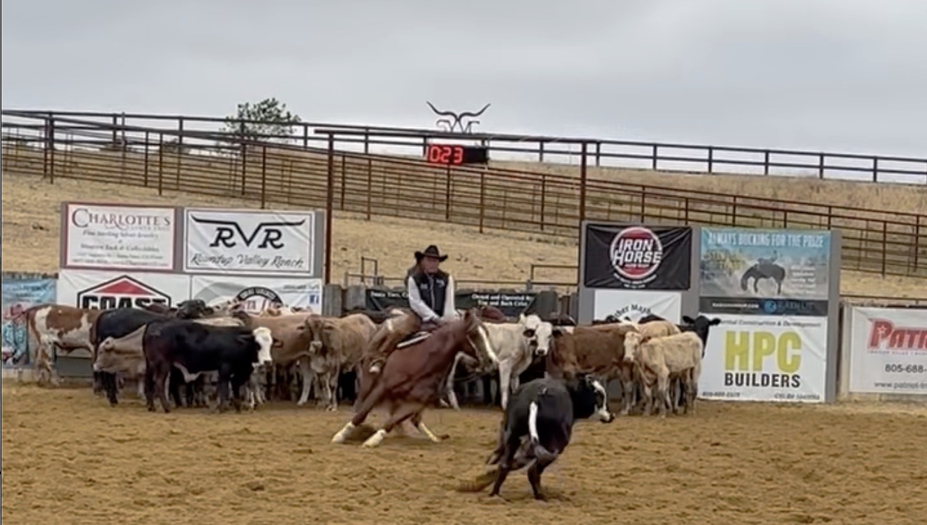 Old Spanish Days Rodeo Back On in Santa Ynez, PRCA at Earl Warren - The ...