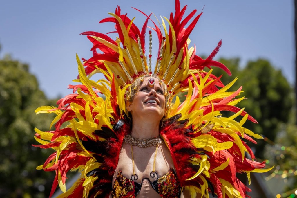 The 51st Summer Solstice Parade Is All Smiles - The Santa Barbara ...