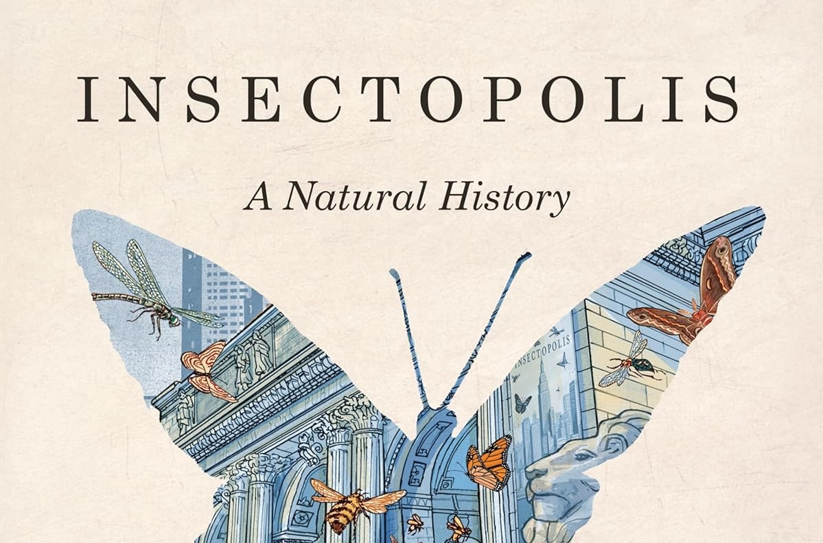 Book Review | ‘Insectopolis: A Natural History’ by Peter Kuper - The ...
