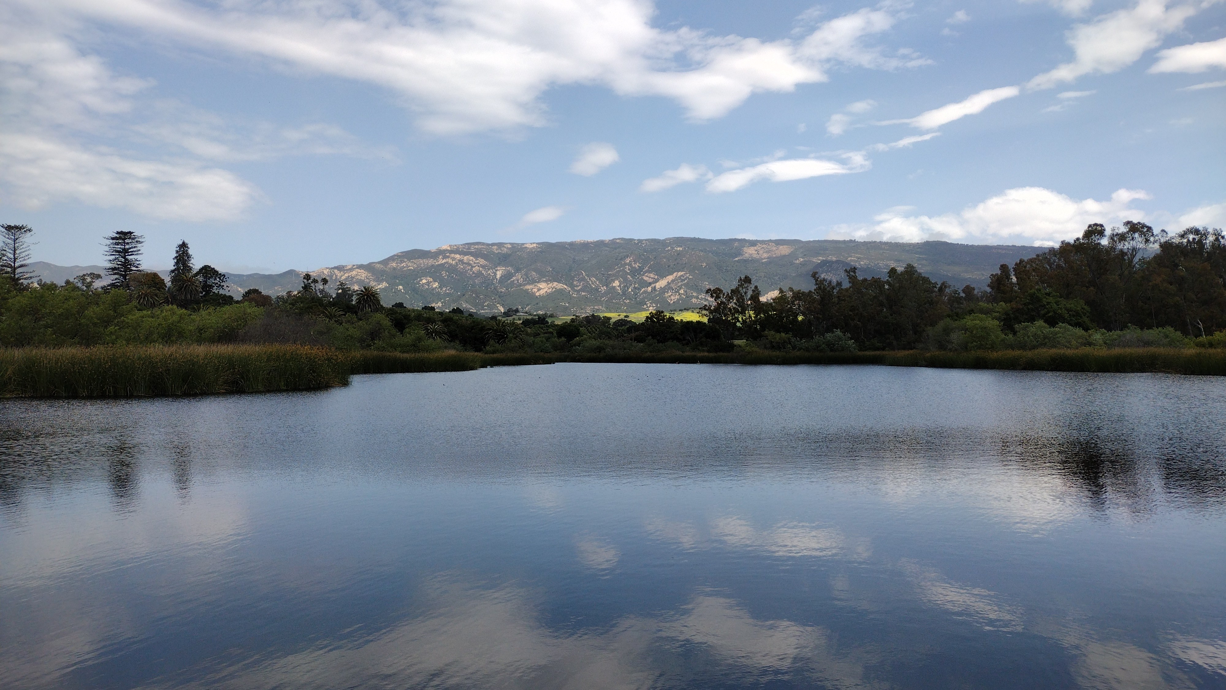 Caring for Lake Los Carneros - The Santa Barbara Independent