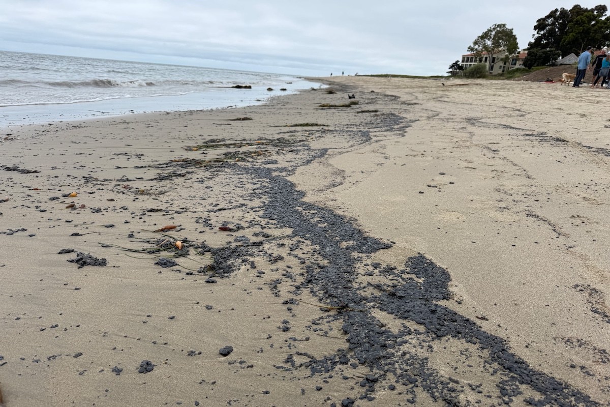 Heal the Ocean Tackles Huge Amounts of Tar Along South County Beaches ...