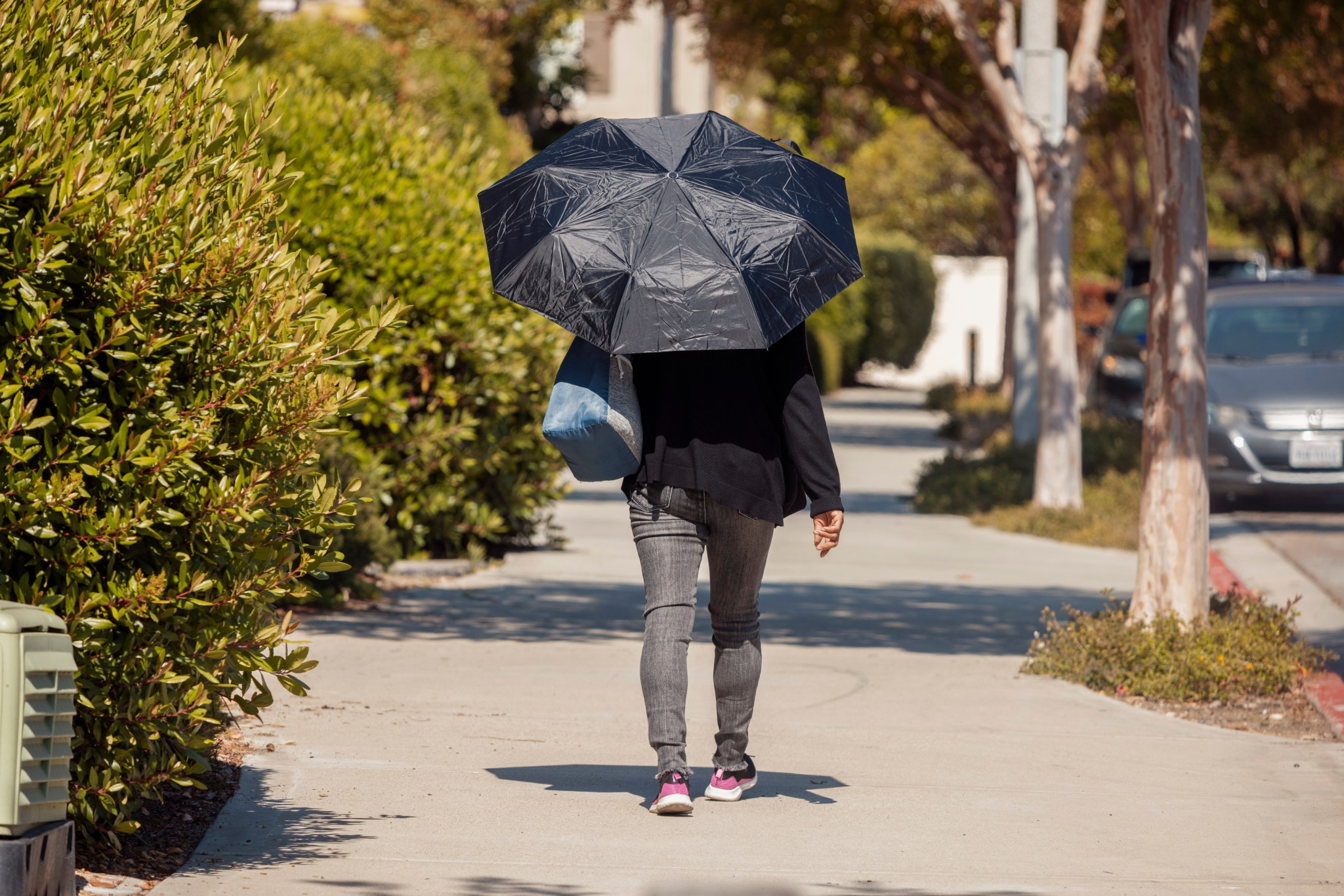 Copying Our Sweating Process Can Cool Buildings - The Santa Barbara ...