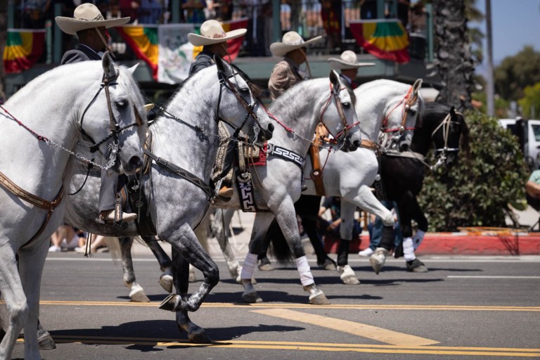 Santa Barbara's Fiesta 2025 Sees Festivities, Fatality - The Santa ...