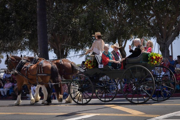 Hundreds of Horses, Thousands of Spectators at This Year’s Fiesta ...