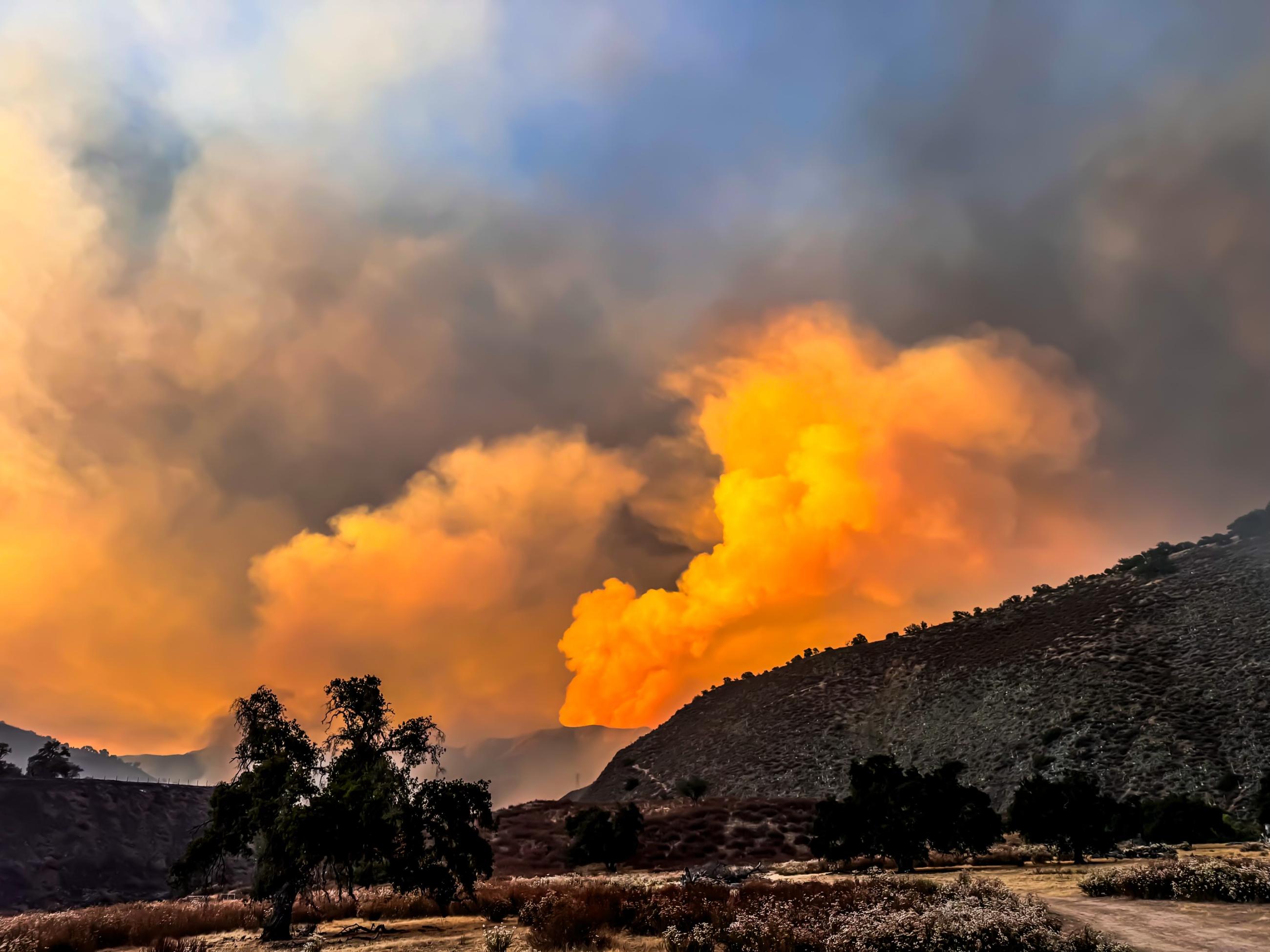 Nearly 500 Structures at Risk as Gifford Fire Grows to More than 65,000 ...