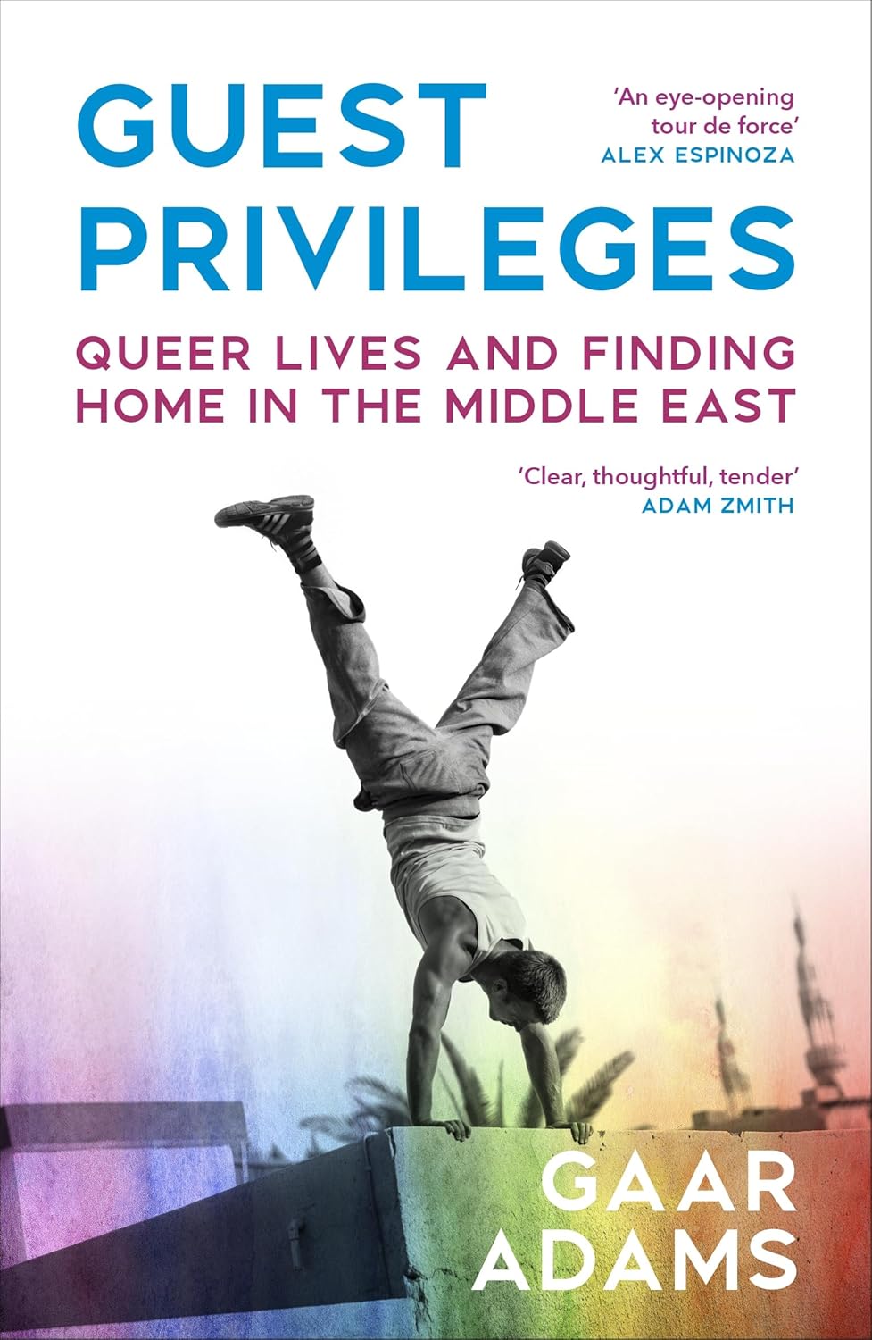 Book Review | ‘Guest Privileges: Queer Lives and Finding Home in the ...