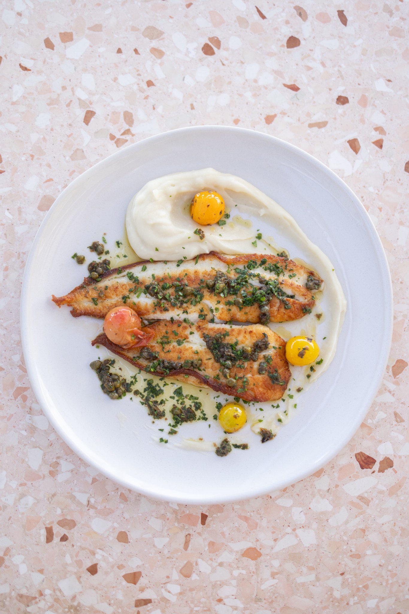 Harborside Dining Finds a State of Gracie - The Santa Barbara Independent