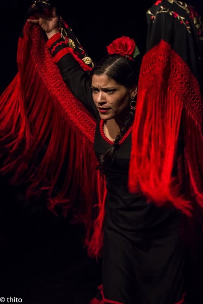 A Delightful Flamenco Íntimo at Santa Barbara Historic Museum - The ...