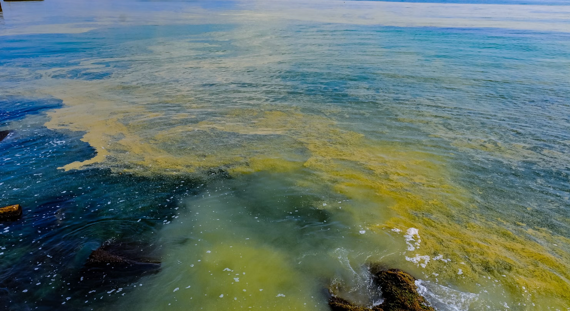 Human Impact on the Ocean Will Double by 2050, UCSB Scientists Warn ...
