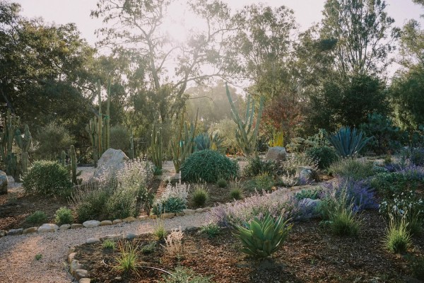 Landscape Design 101 with Katie Gerpheide - The Santa Barbara Independent
