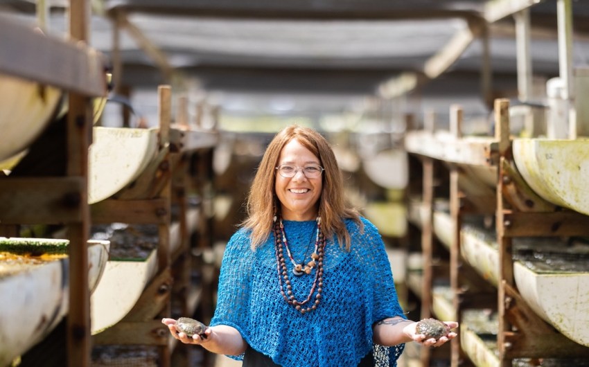 Dos Pueblos Ranch Up for Sale, Again - The Santa Barbara Independent