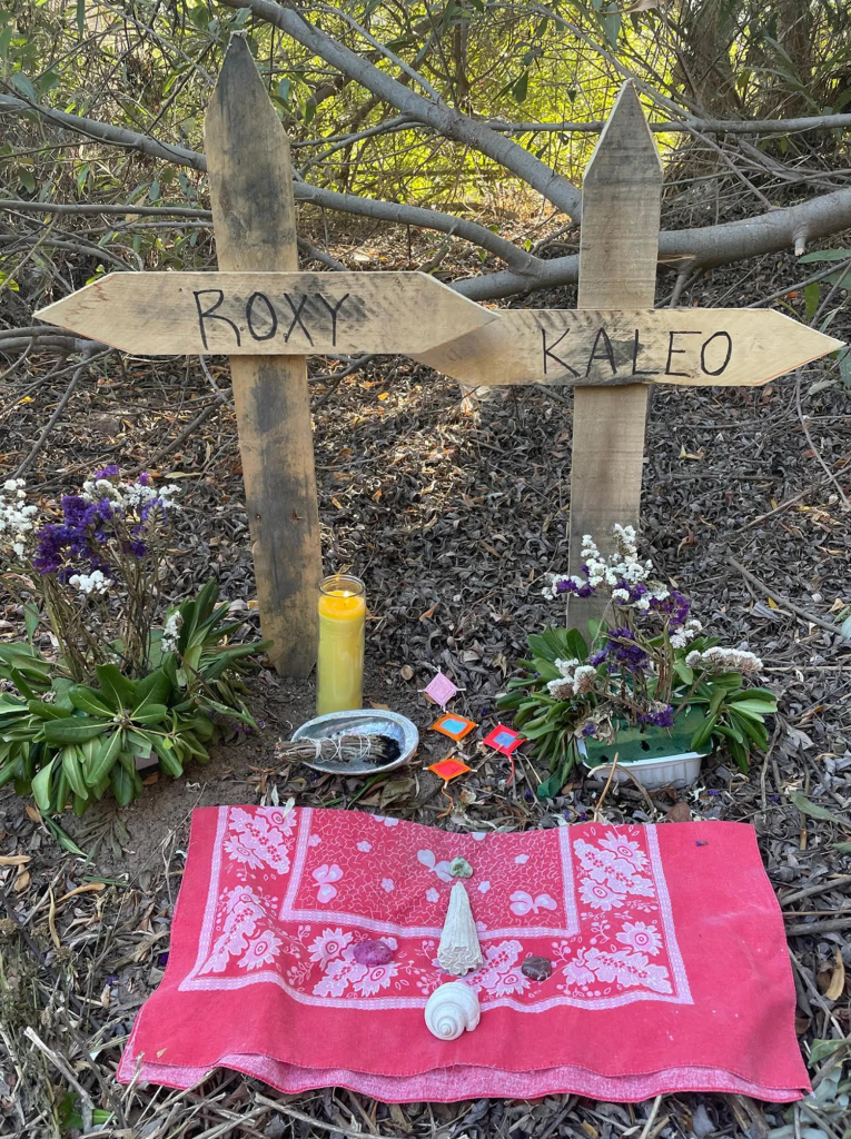 Still Seeking Sanity in the Matthew Coleman Case - The Santa Barbara ...