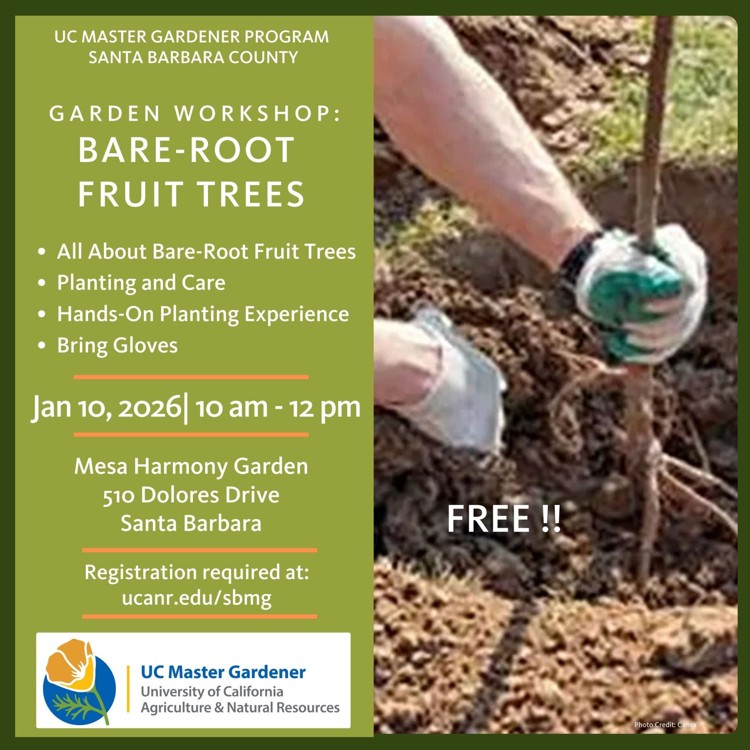 Garden Workshop: Bare-Root Fruit Trees - The Santa Barbara Independent