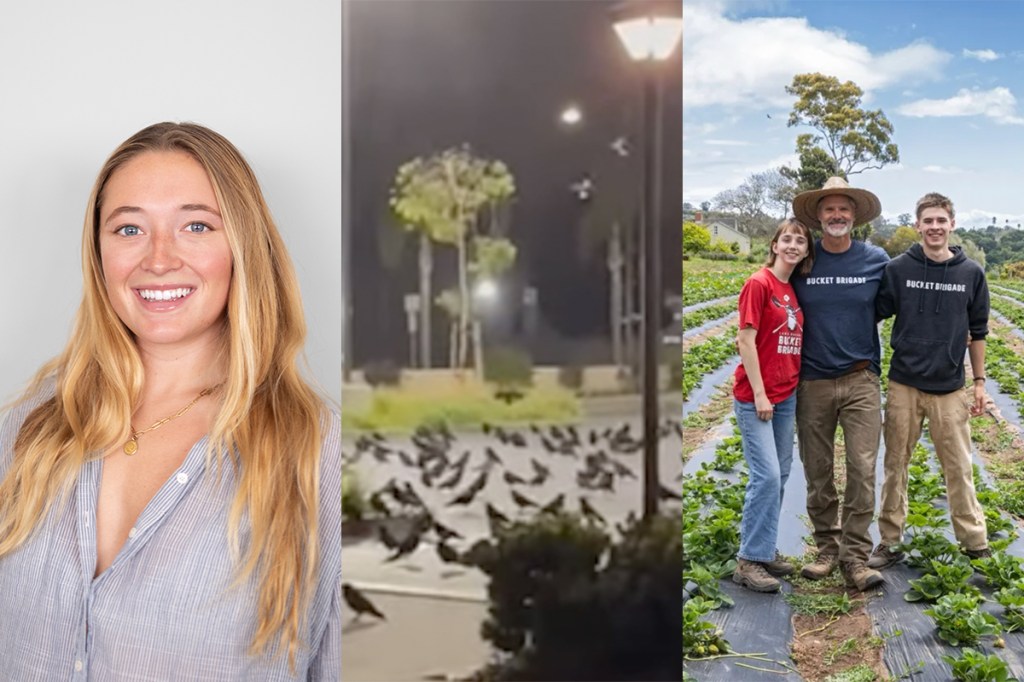 Ella Heydenfeldt's 2025 in Review - The Santa Barbara Independent