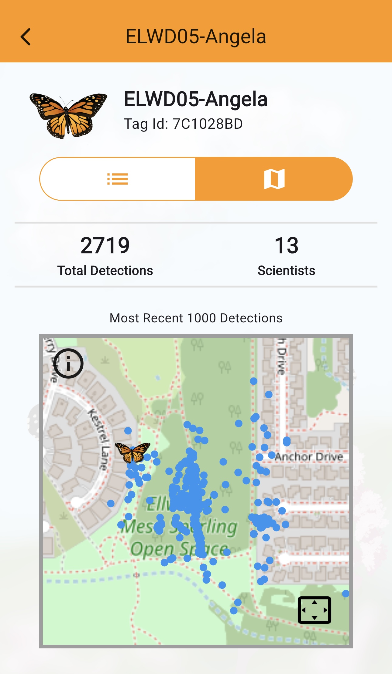 Breakthrough Tech Is Tracking Monarch Butterflies in Santa Barbara ...