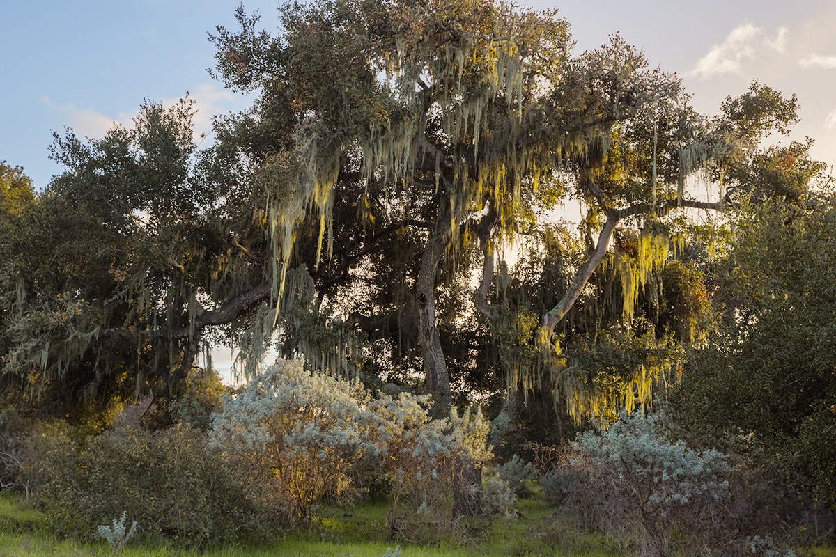 Land Trust for Santa Barbara County Secures 587 Acres in the Solomon ...