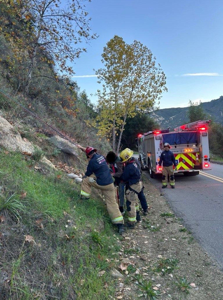 Man Rescued from Ravine Below Cold Spring Bridge After Vehicle Incident ...